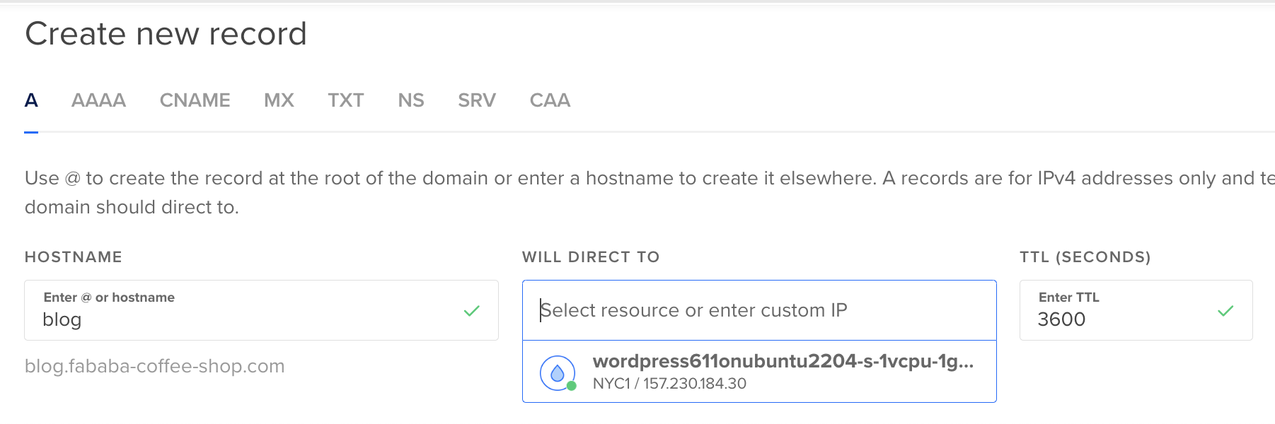 Adding A Domain To Digitalocean